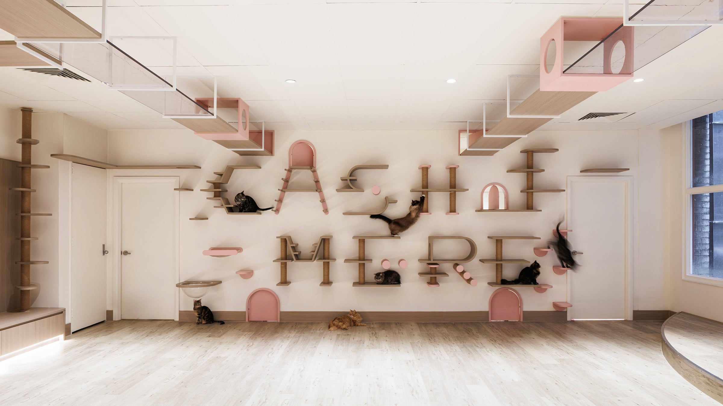 Indulge in the Cuteness